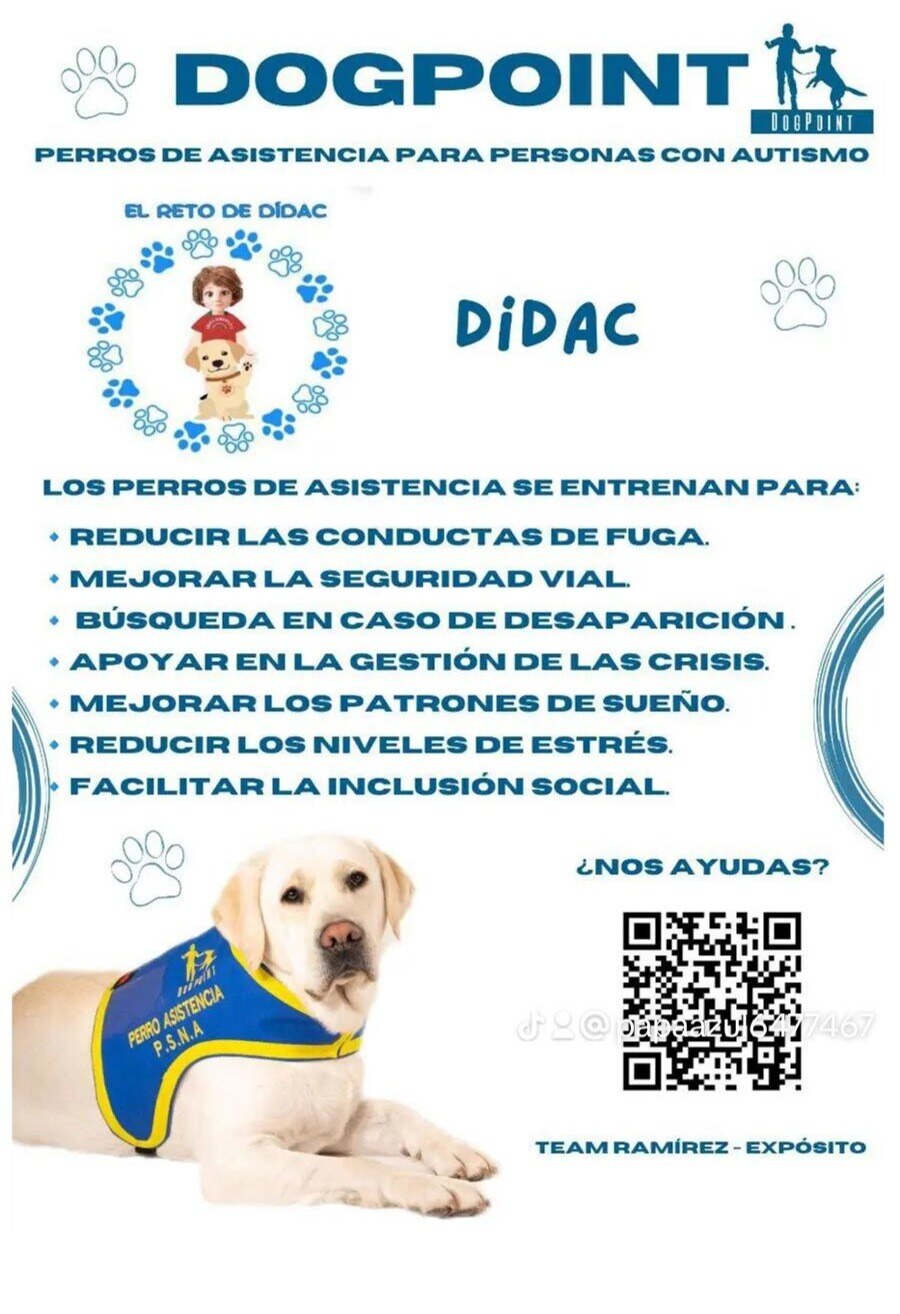 INVpack colabora con DogPoint en el Proyecto de Dídac: Apoyando a un ...